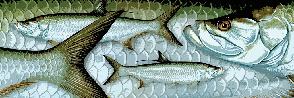 tarpon artwork