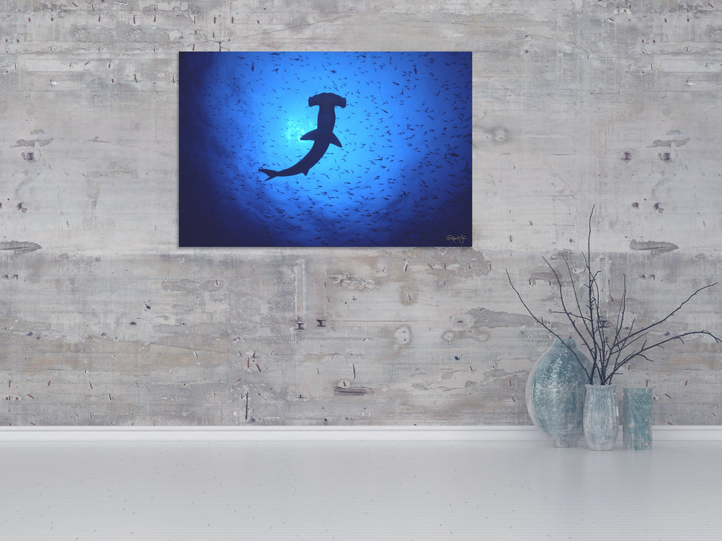 hammerhead shark wall art