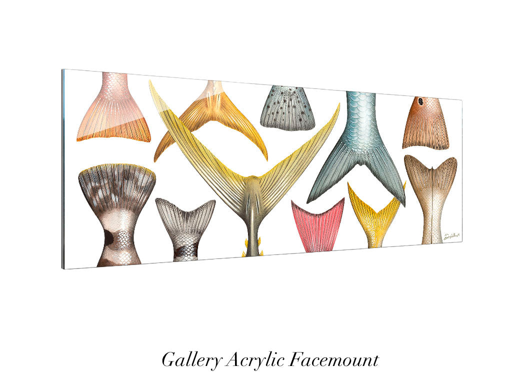 "Fish Tails" – Blue Ocean Art