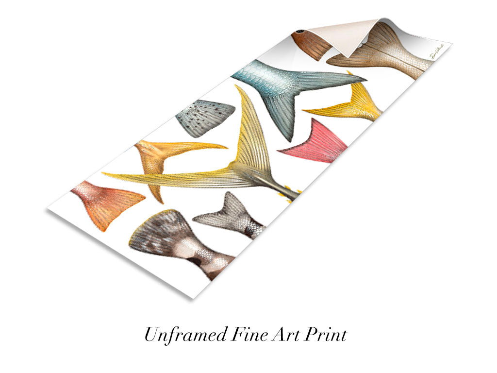 "Fish Tails" – Blue Ocean Art