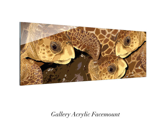"Loggerhead Sea Turtles" – Blue Ocean Art