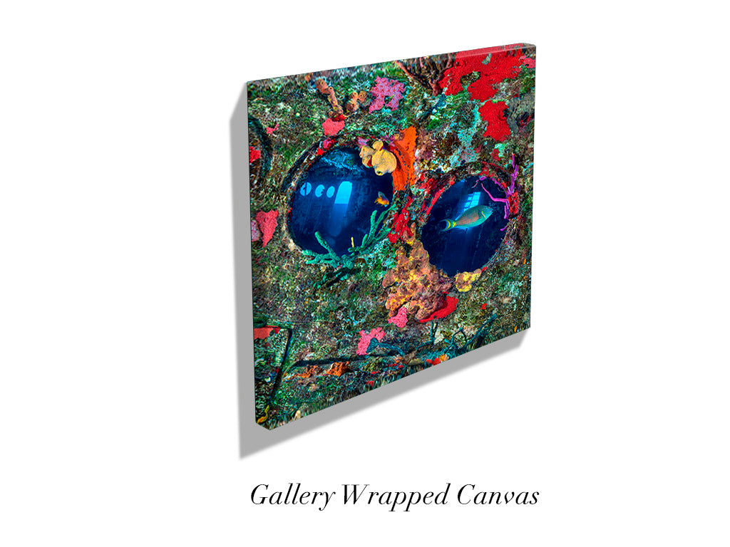 "New Life" 48X48 Canvas – Blue Ocean Art