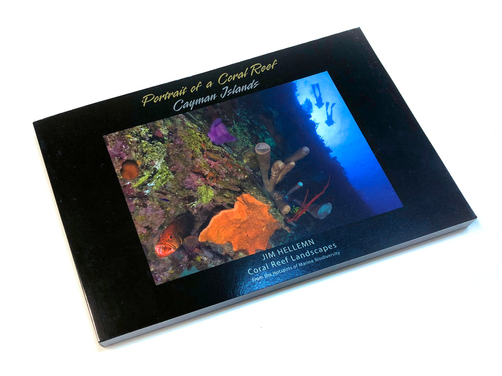 "Portrait of a Coral Reef: Cayman Islands" – Blue Ocean Art